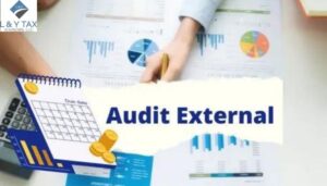 What is an External Auditor - L&Y Tax Advisor