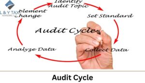 What is the Audit Cycle - Comprehensive Guide
